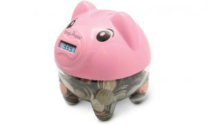40 Unique and Fun Piggy Banks for Kids - ChildFun
