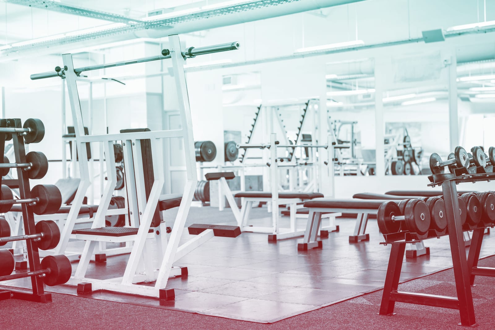 35 Gym Puns That Are Worth A Workout ChildFun 35 Gym Puns That Are Worth A Workout ChildFun